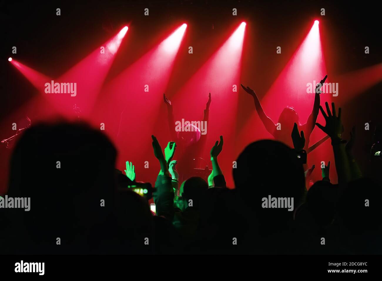 dancing audience at a concert at a nightclub Stock Photo - Alamy