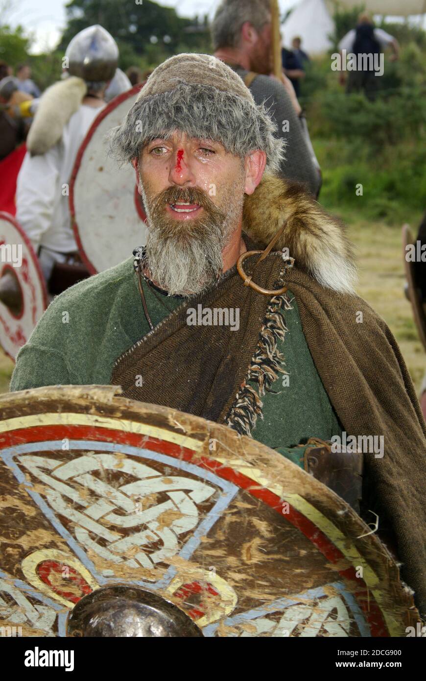 Viking shield wales hi-res stock photography and images - Alamy