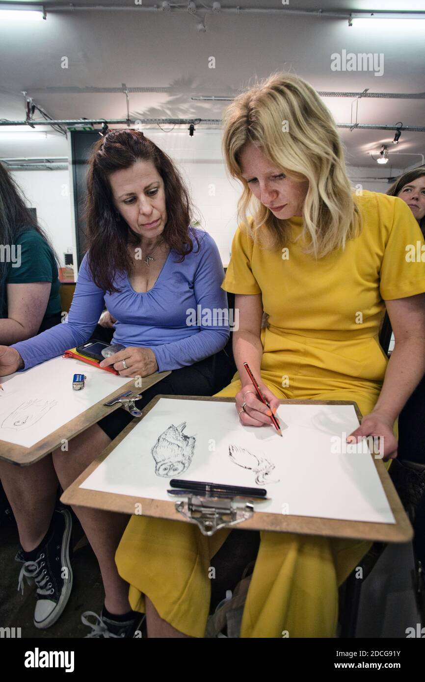 GREAT BRITAIN / England / London / Wild Life Drawing/Wild Life Drawing ...