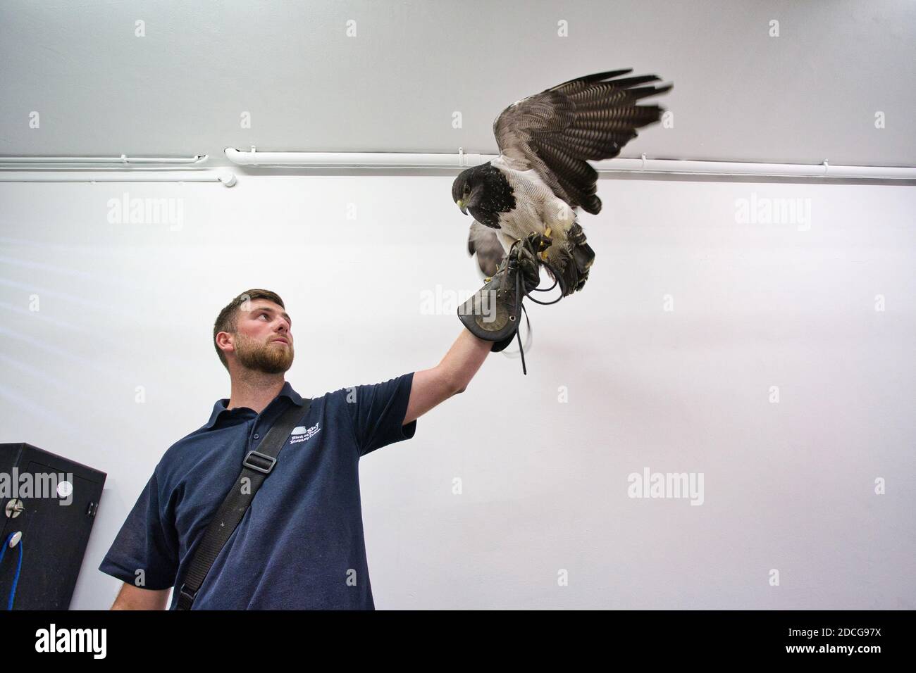 Lesson drawing hi-res stock photography and images - Alamy