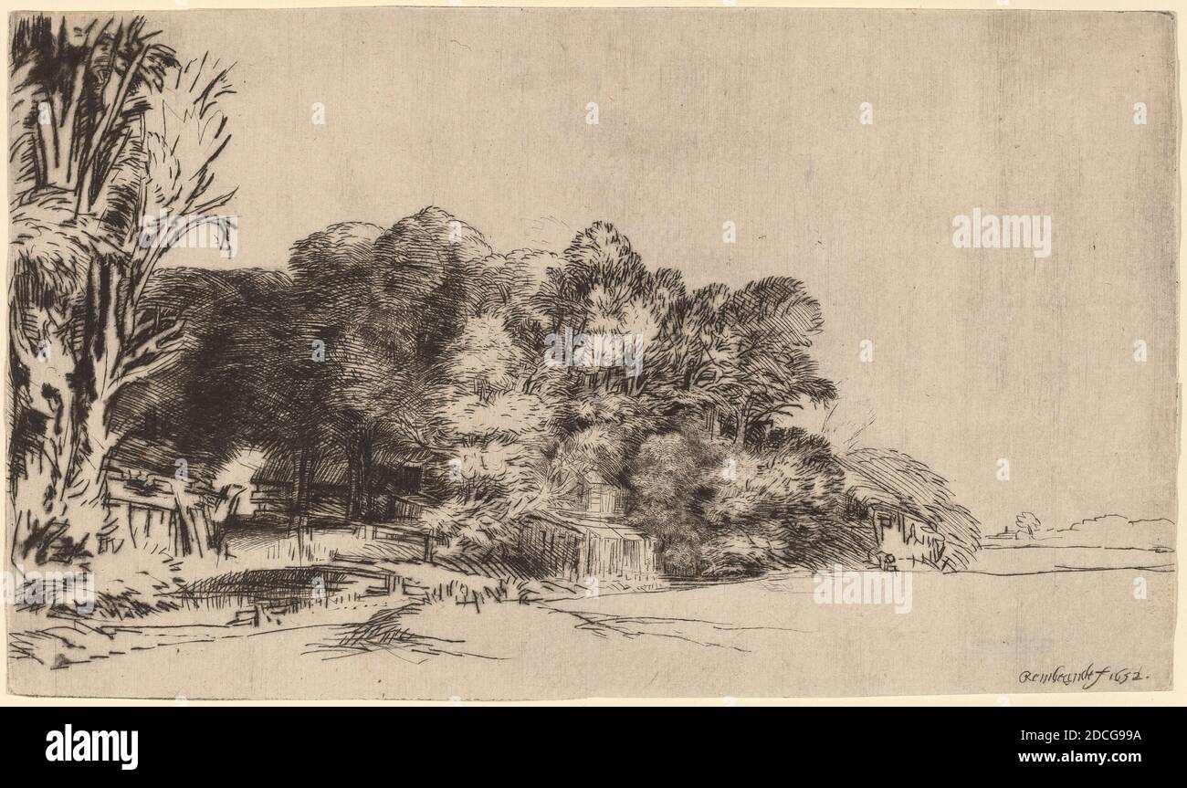 Rembrandt van Rijn, (artist), Dutch, 1606 - 1669, Clump of Trees with a ...