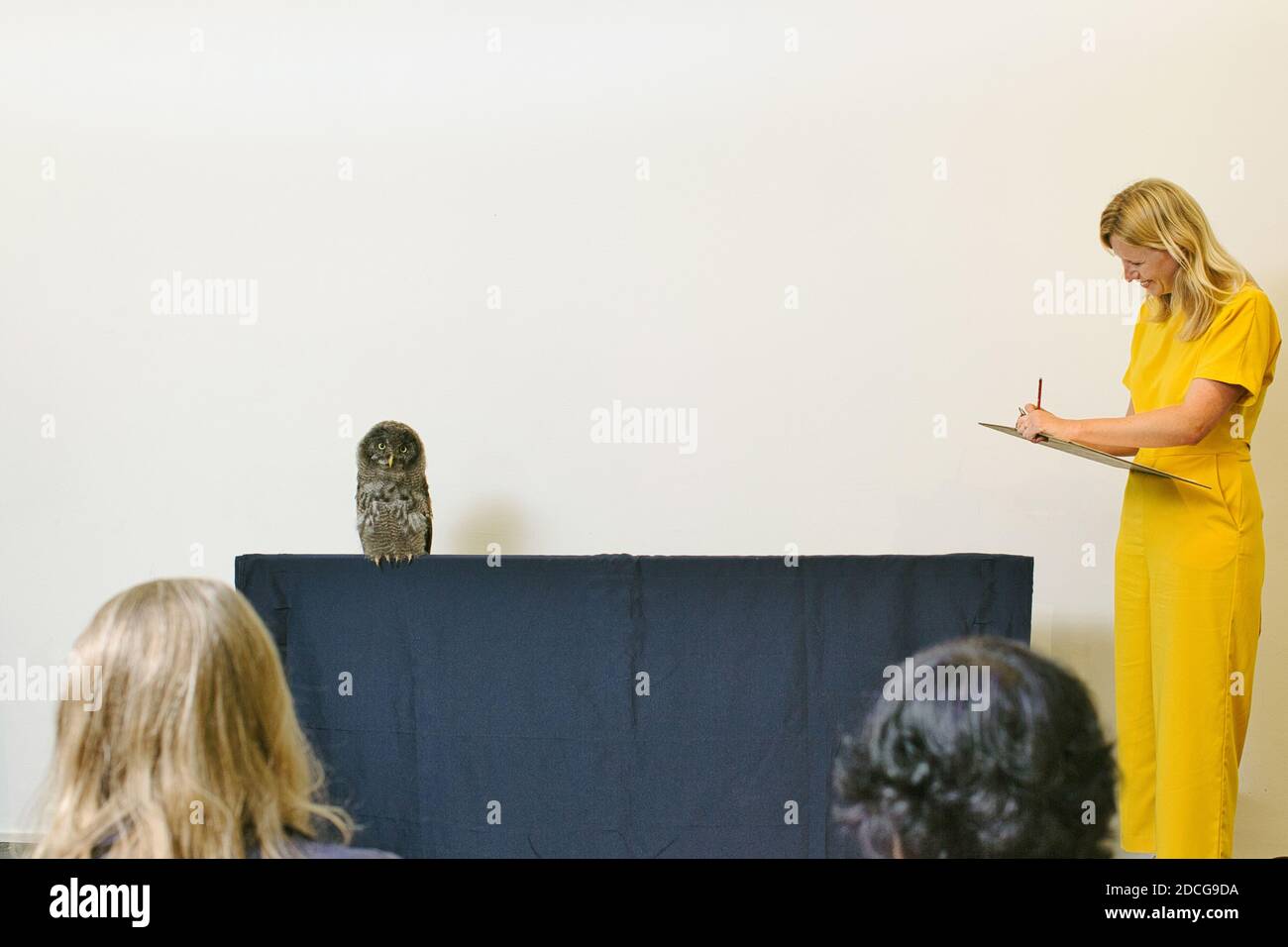 Baby animals drawing hi-res stock photography and images - Alamy