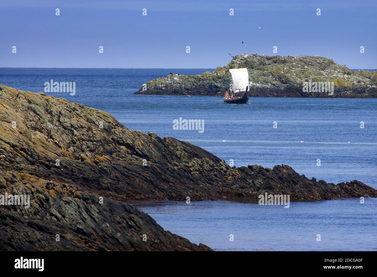 Amlwch viking festival hi-res stock photography and images - Alamy