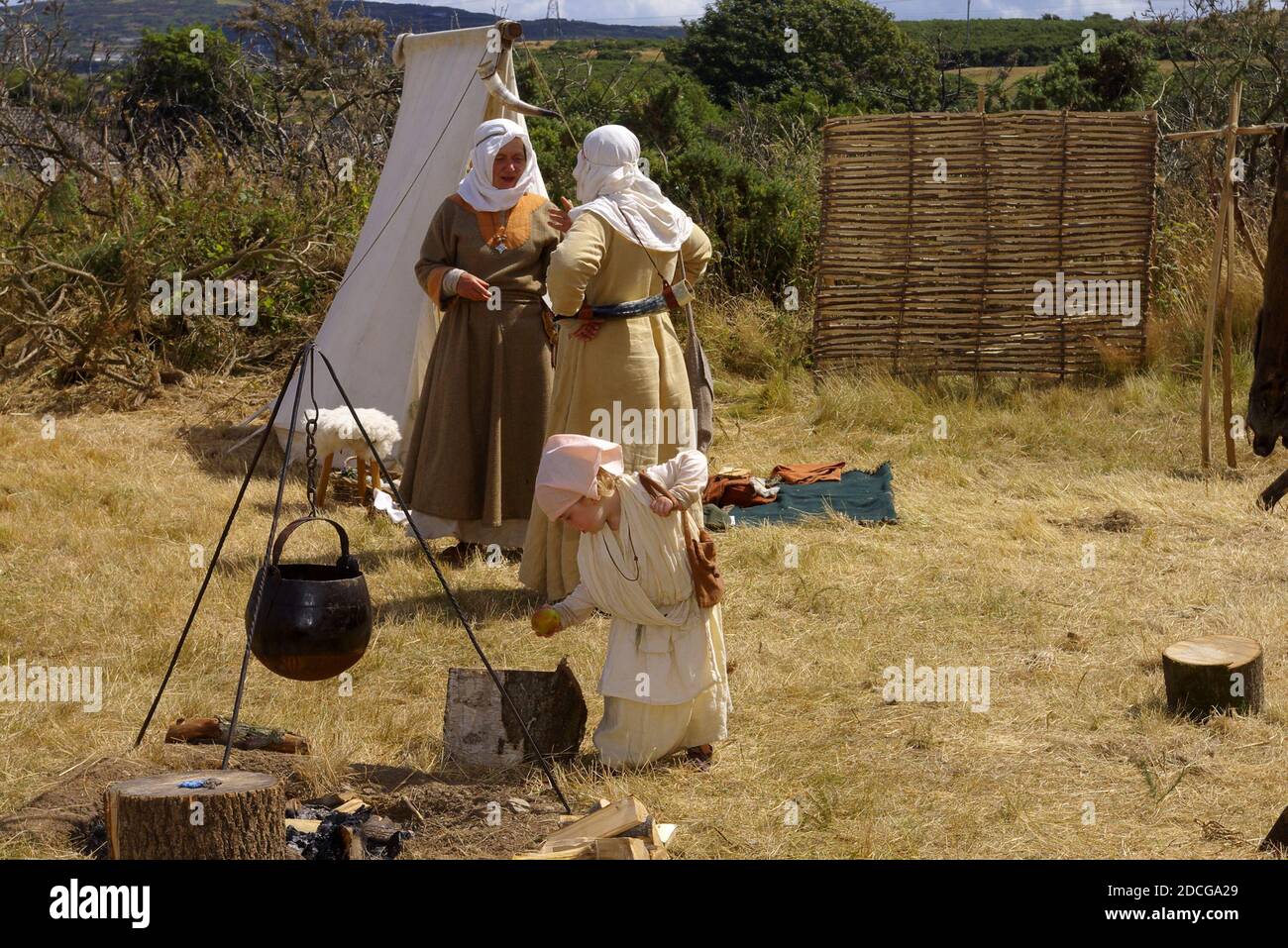Viking shield wales hi-res stock photography and images - Alamy