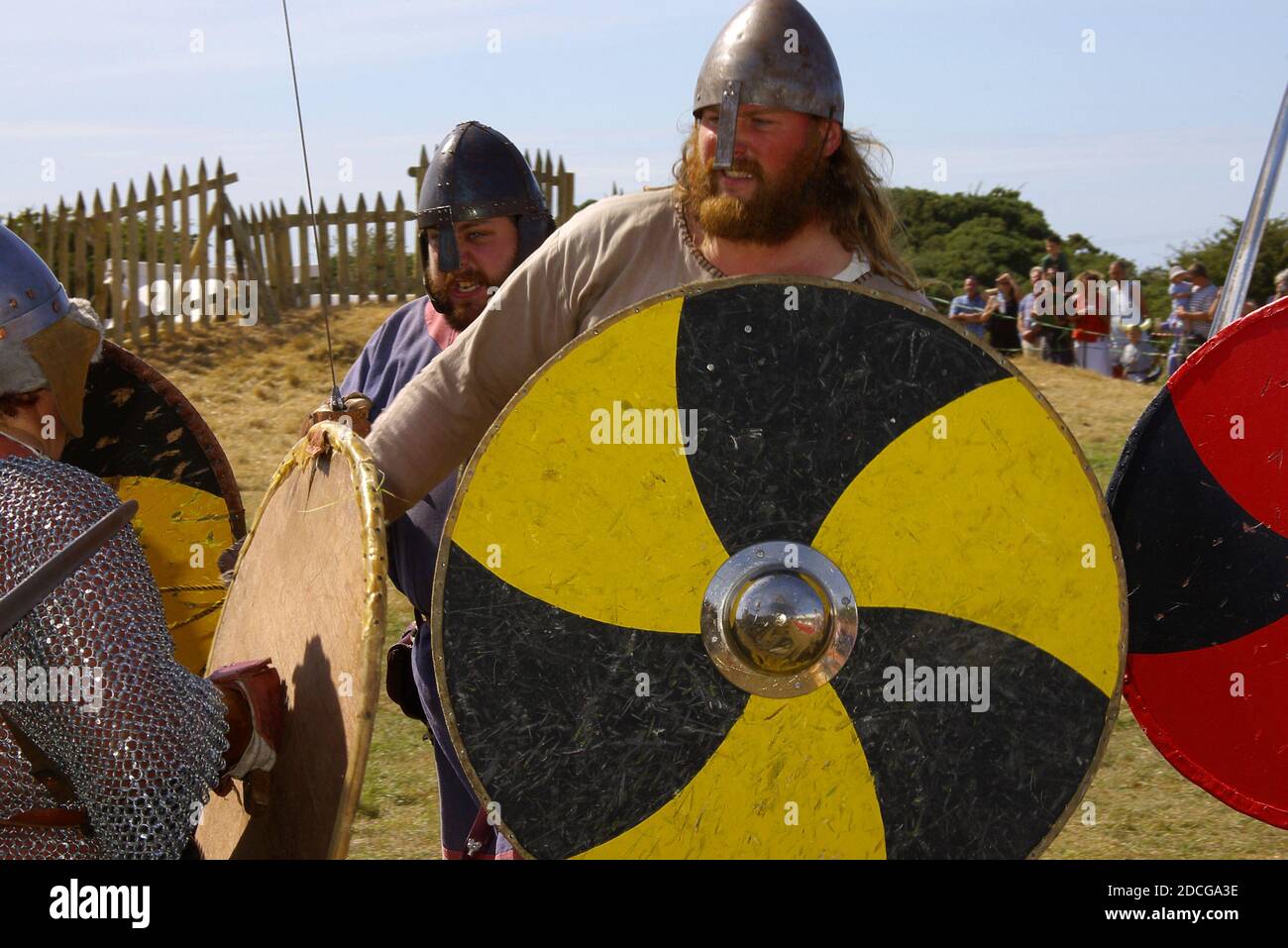Viking shield wales hi-res stock photography and images - Alamy