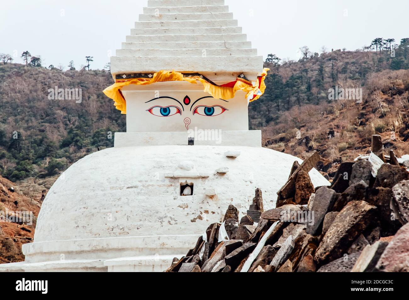 Beautiful traditional white stone Stupa with Budda eyes in Himalayas ...