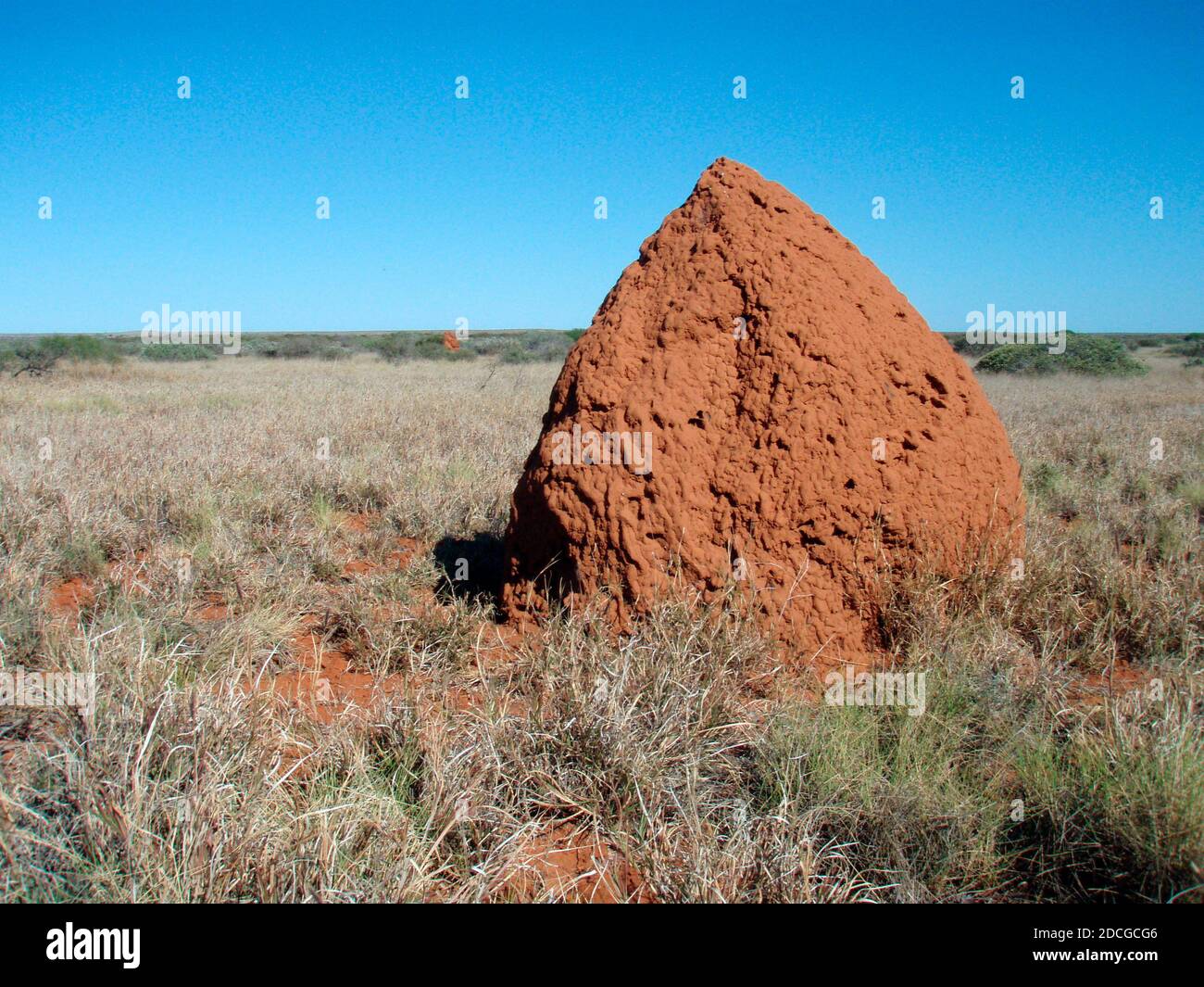 a big termite colony nest or mound in the landscape Stock Photo - Alamy