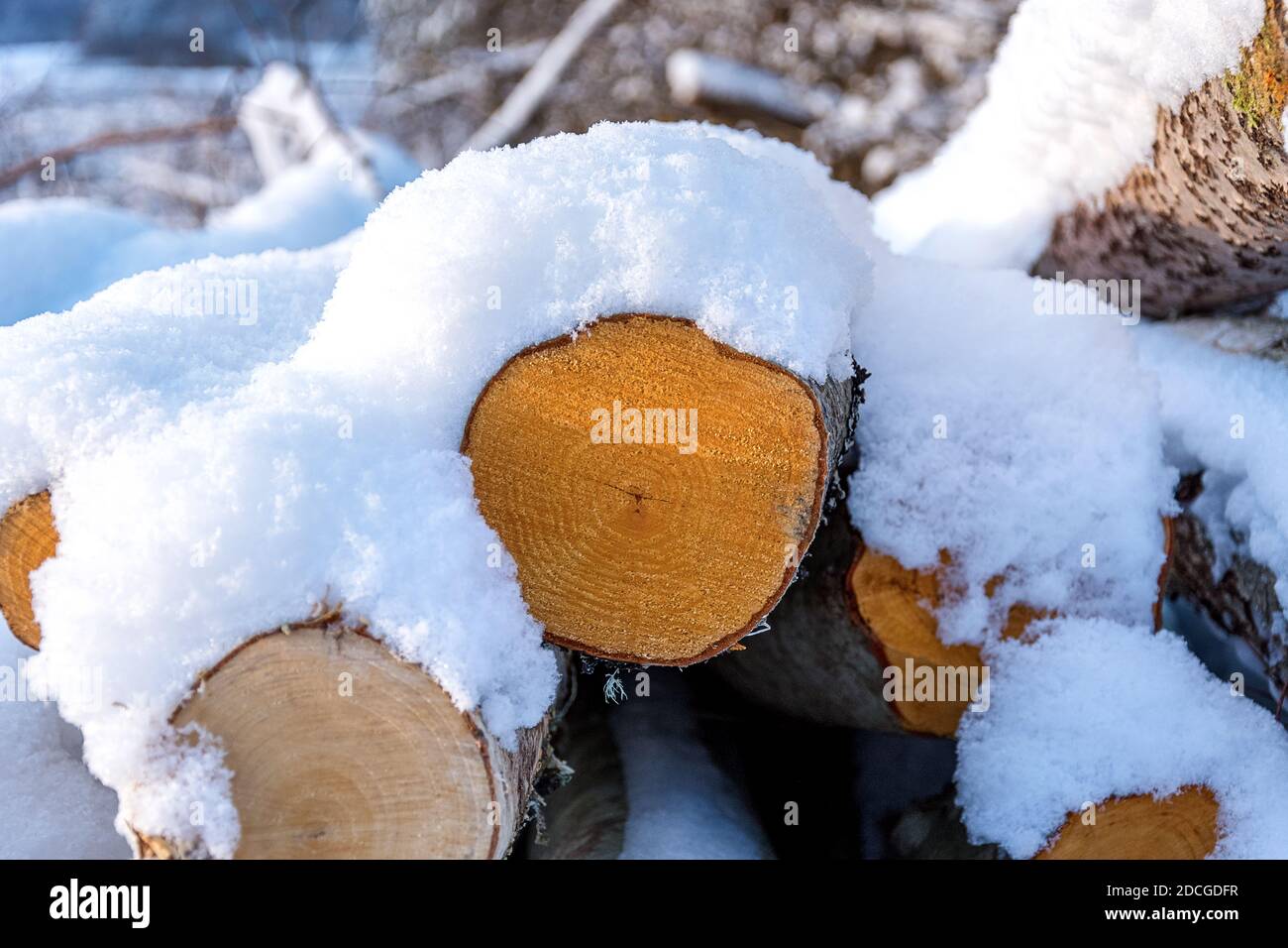 Ogs design hi-res stock photography and images - Alamy