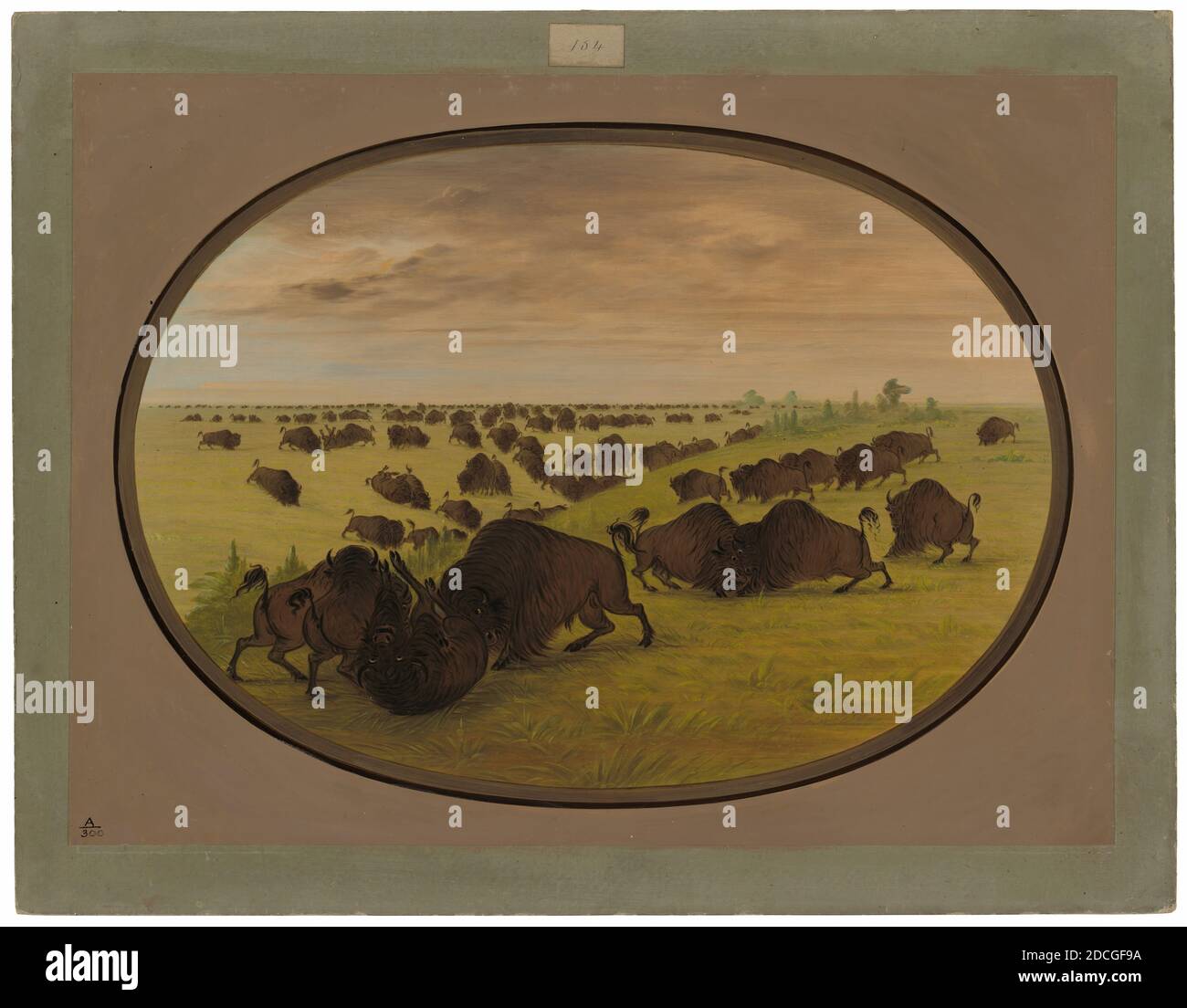 Artist george catlin hi-res stock photography and images - Alamy