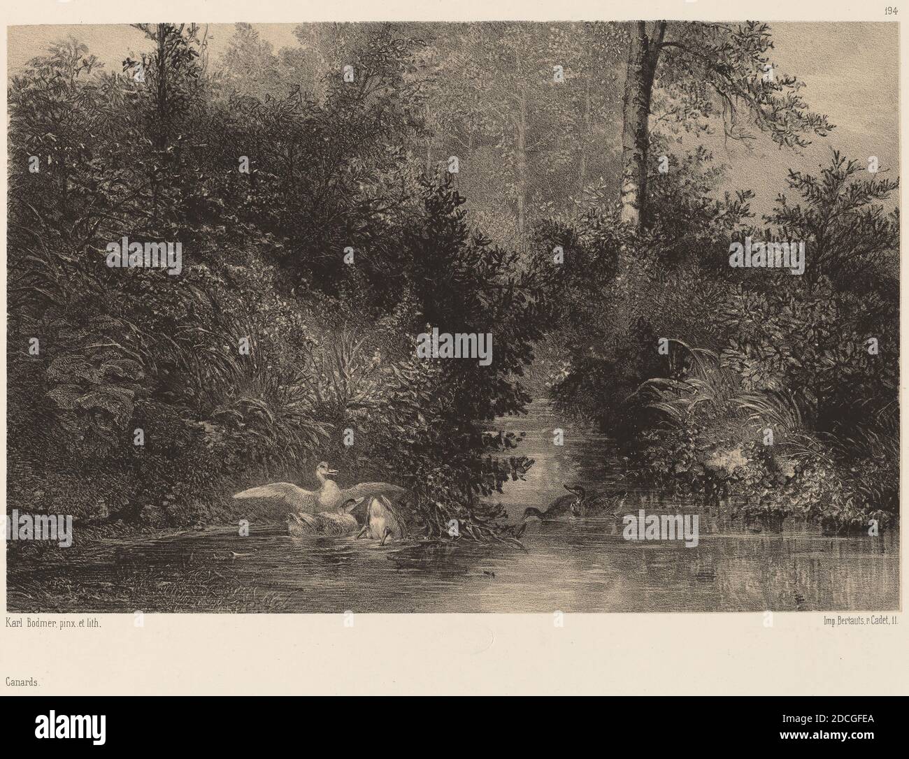 Karl bodmer hi-res stock photography and images - Alamy