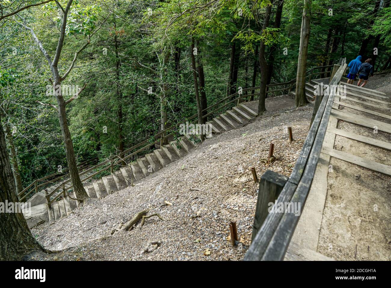 This is Hell Hollow Wilderness Area in the isolated forests of Lake ...