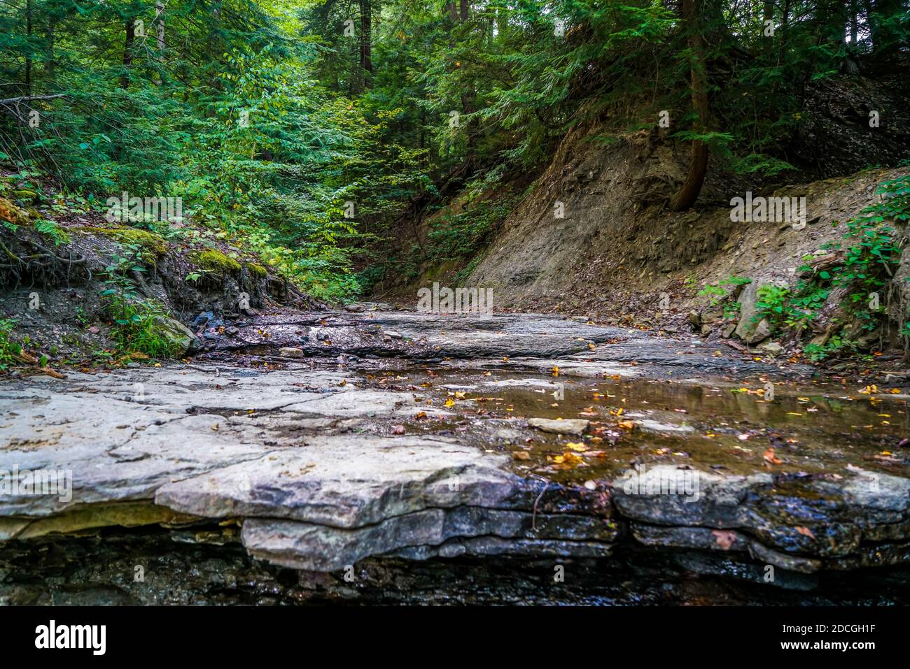 This is Hell Hollow Wilderness Area in the isolated forests of Lake ...