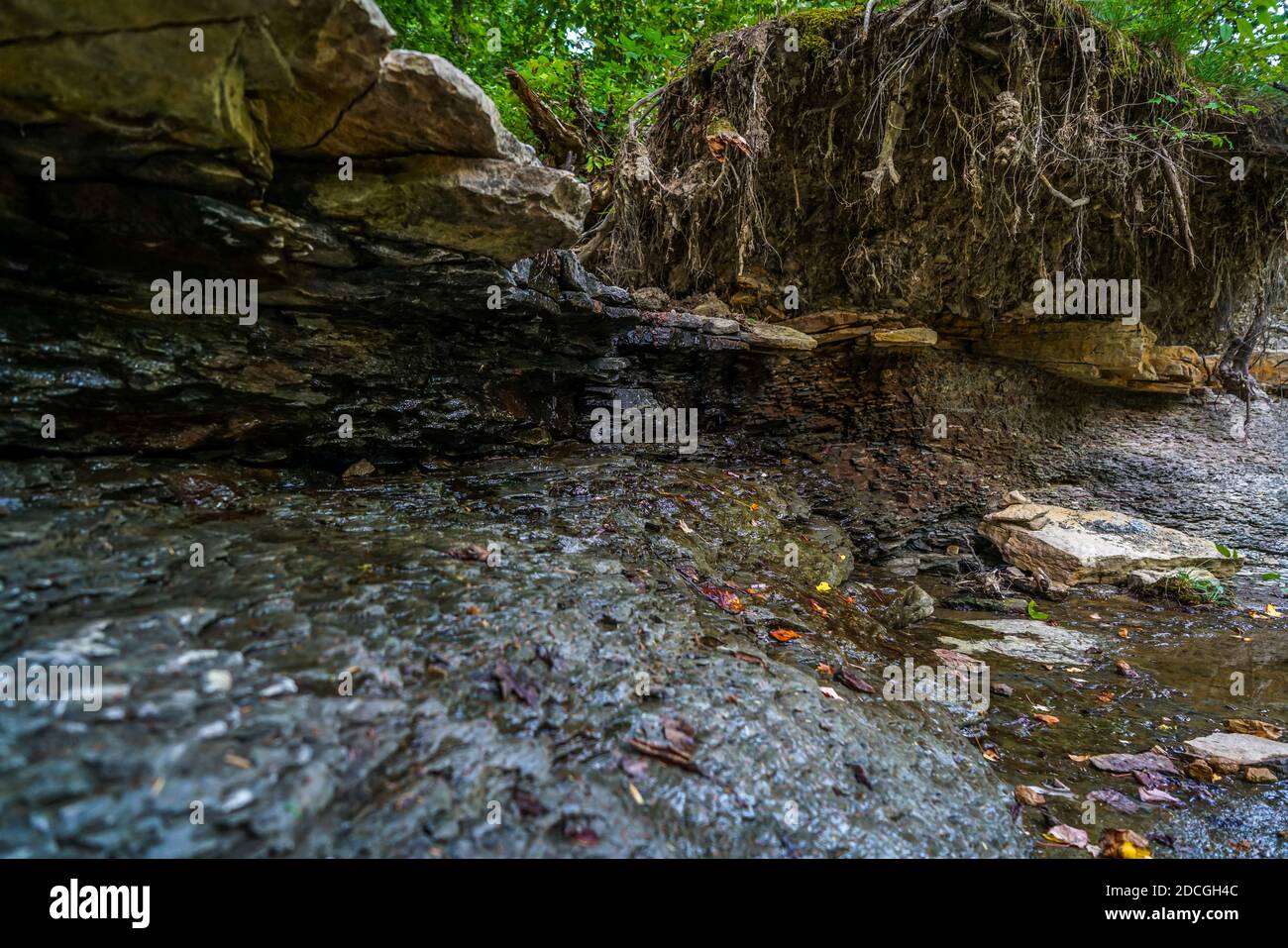 This is Hell Hollow Wilderness Area in the isolated forests of Lake ...