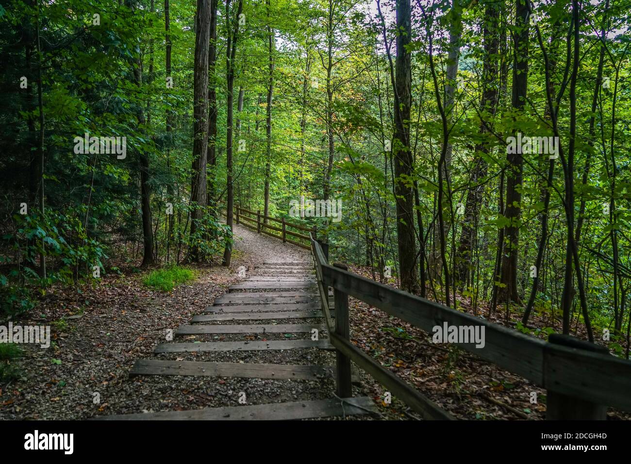 This is Hell Hollow Wilderness Area in the isolated forests of Lake ...
