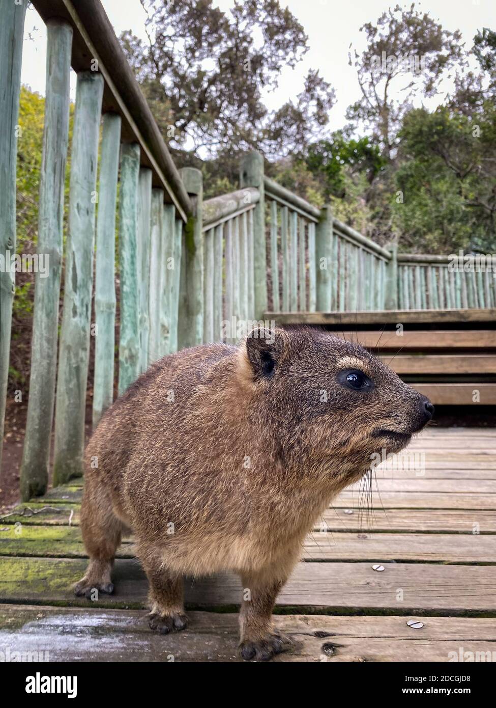Funny looking rock hi-res stock photography and images - Alamy
