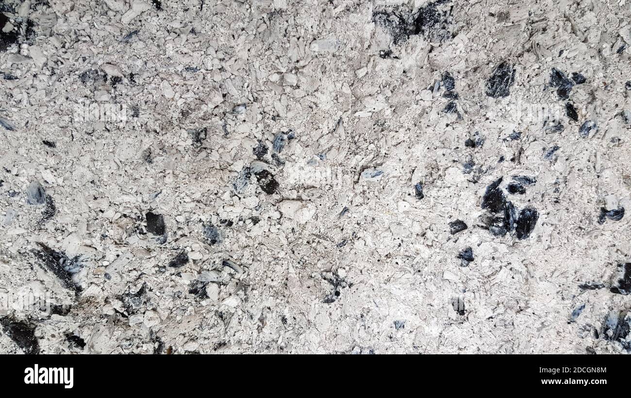 White gray ash background with black pieces of burnt charcoal. Natural ...