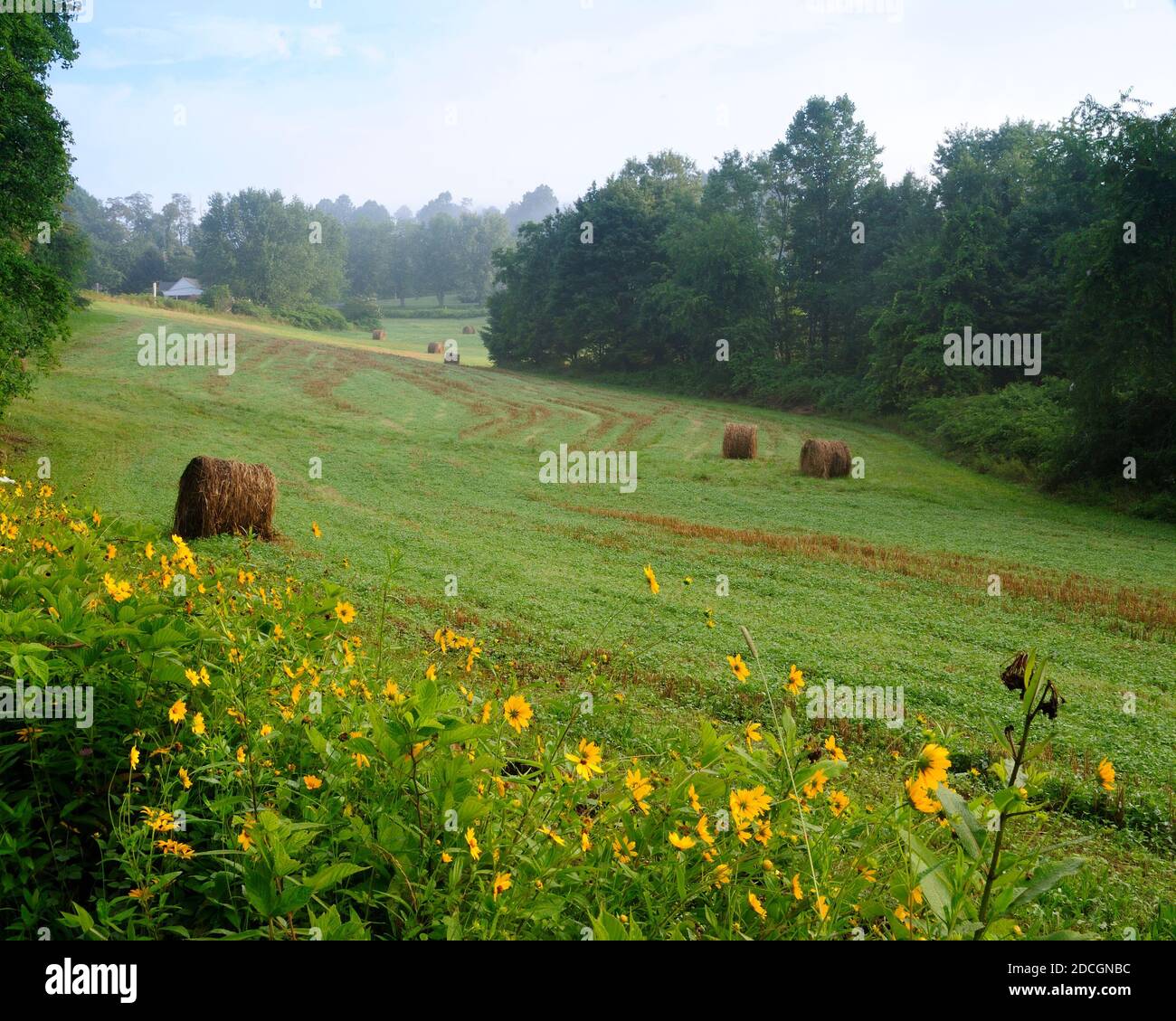Blue ridge farm hi-res stock photography and images - Alamy