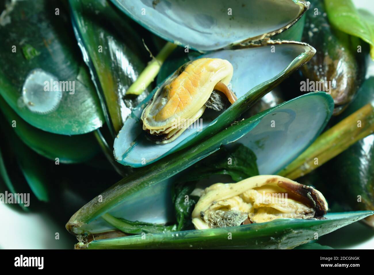 Mussel seed hi-res stock photography and images - Alamy