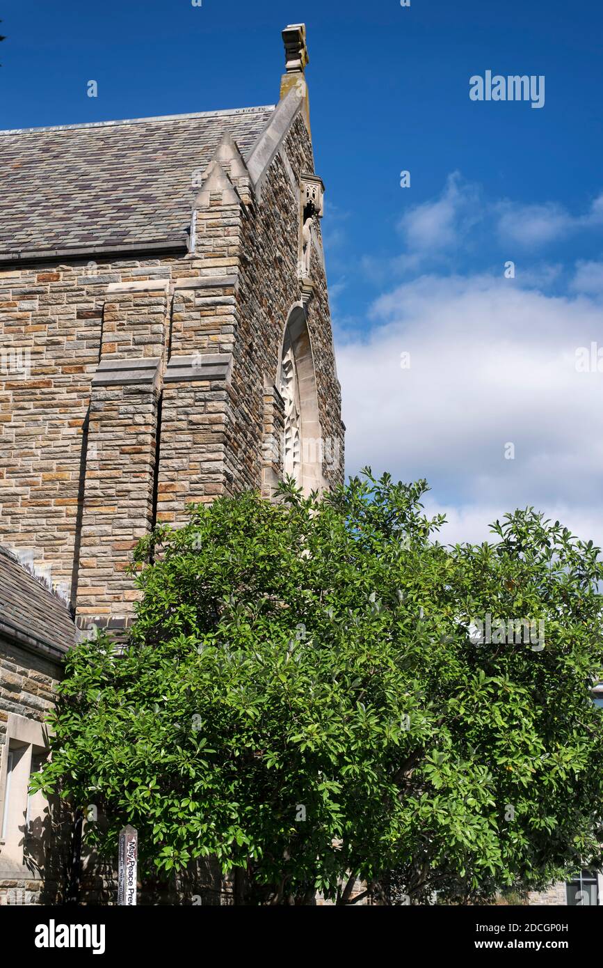 Loyola university campus baltimore hi-res stock photography and images ...