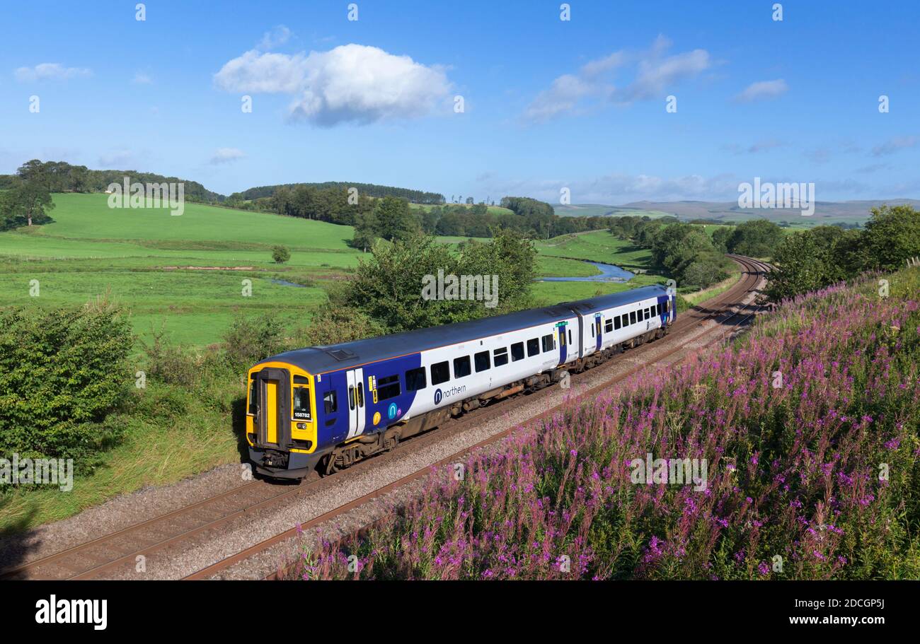 Northern Rail class 158 diesel train passing through the Aire valley countryside, Craven, North ...