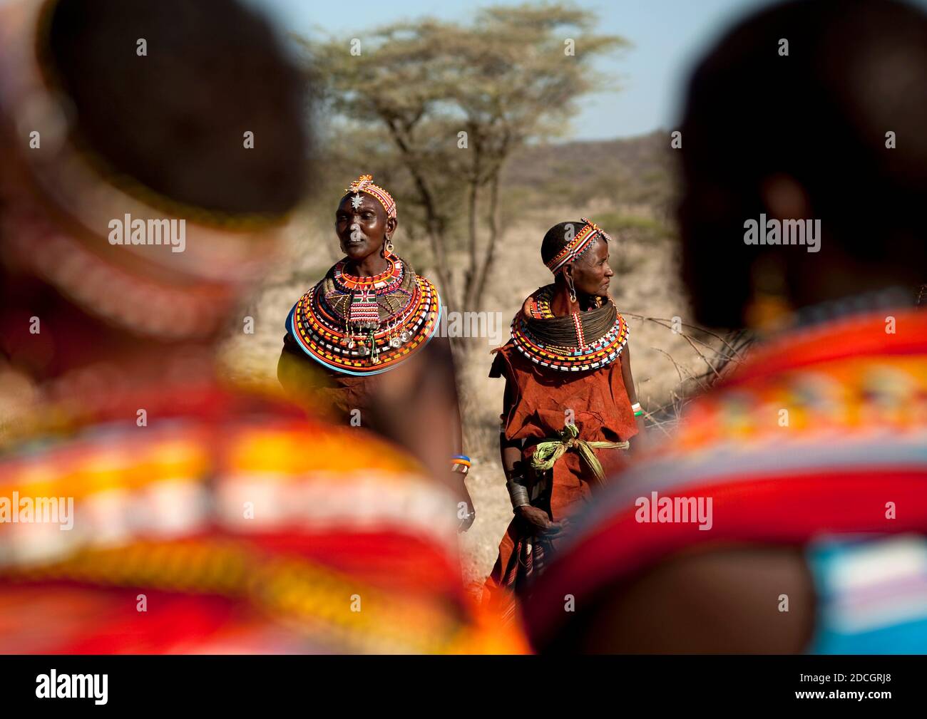 Portrait of Samburu tribe women, Samburu County, Maralal, Kenya Stock ...