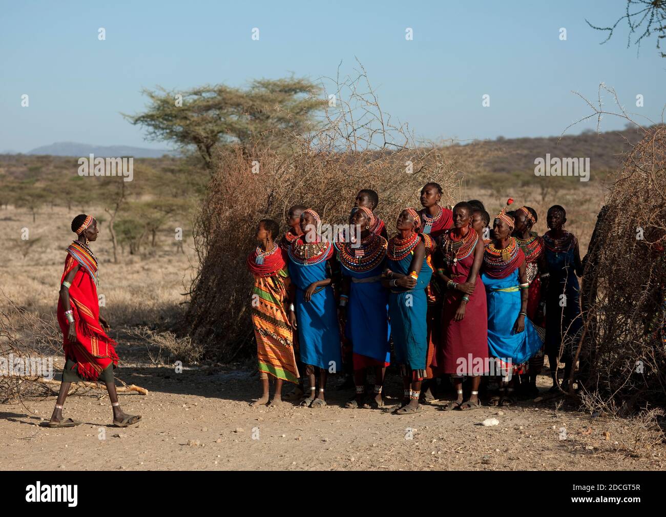 Samburu tribe women welcoming a woman, Samburu County, Maralal, Kenya ...