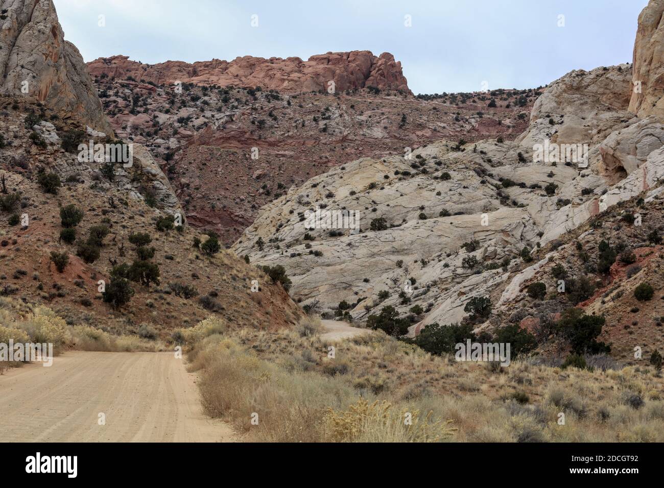 The famous Utah byways of Notom Road and the Burr Trail offer ...