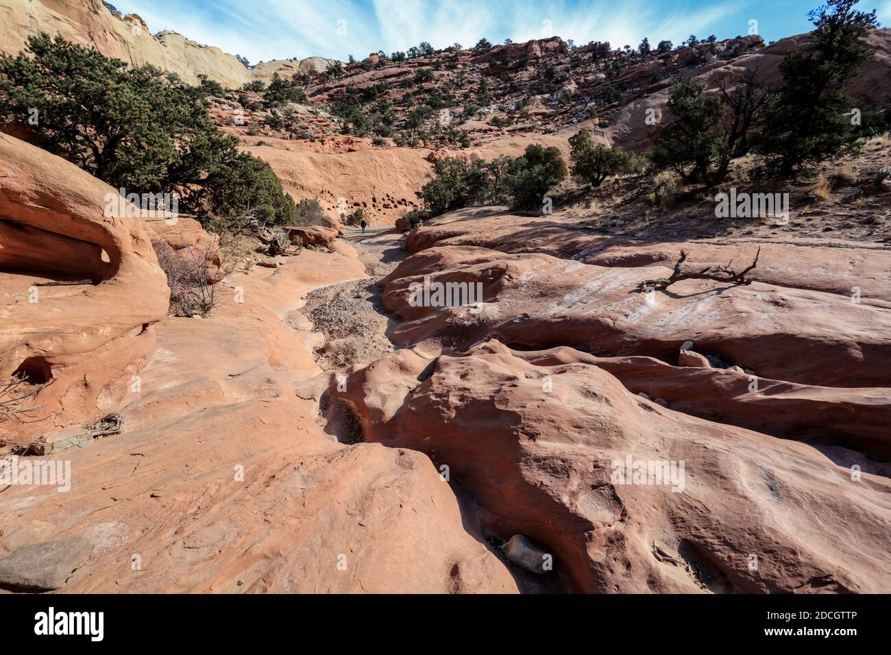 The famous Utah byways of Notom Road and the Burr Trail offer ...