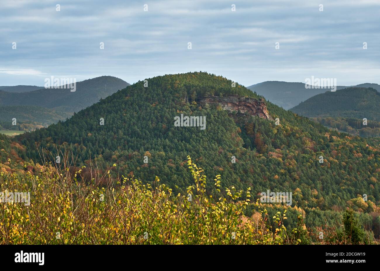 Rolling hills in the Palatinate forest, Germany Stock Photo - Alamy