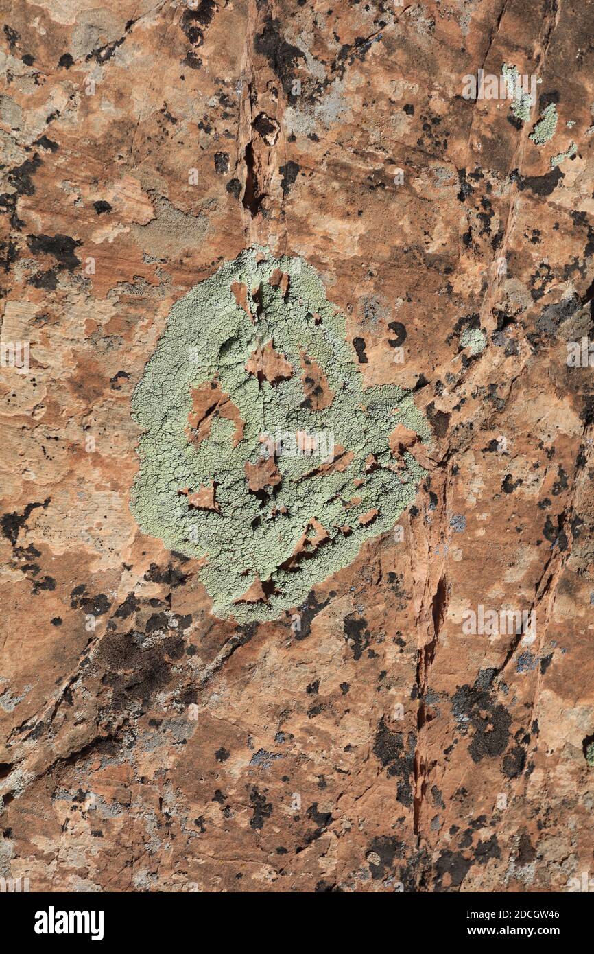 The famous Utah byways of Notom Road and the Burr Trail offer ...