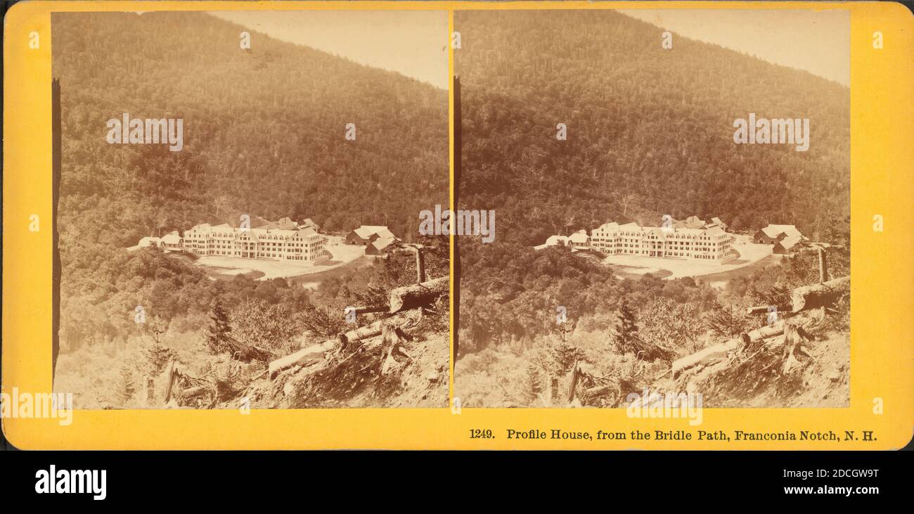 Profile House, from the Bridle Path, Franconia Notch, N.H., Kilburn ...