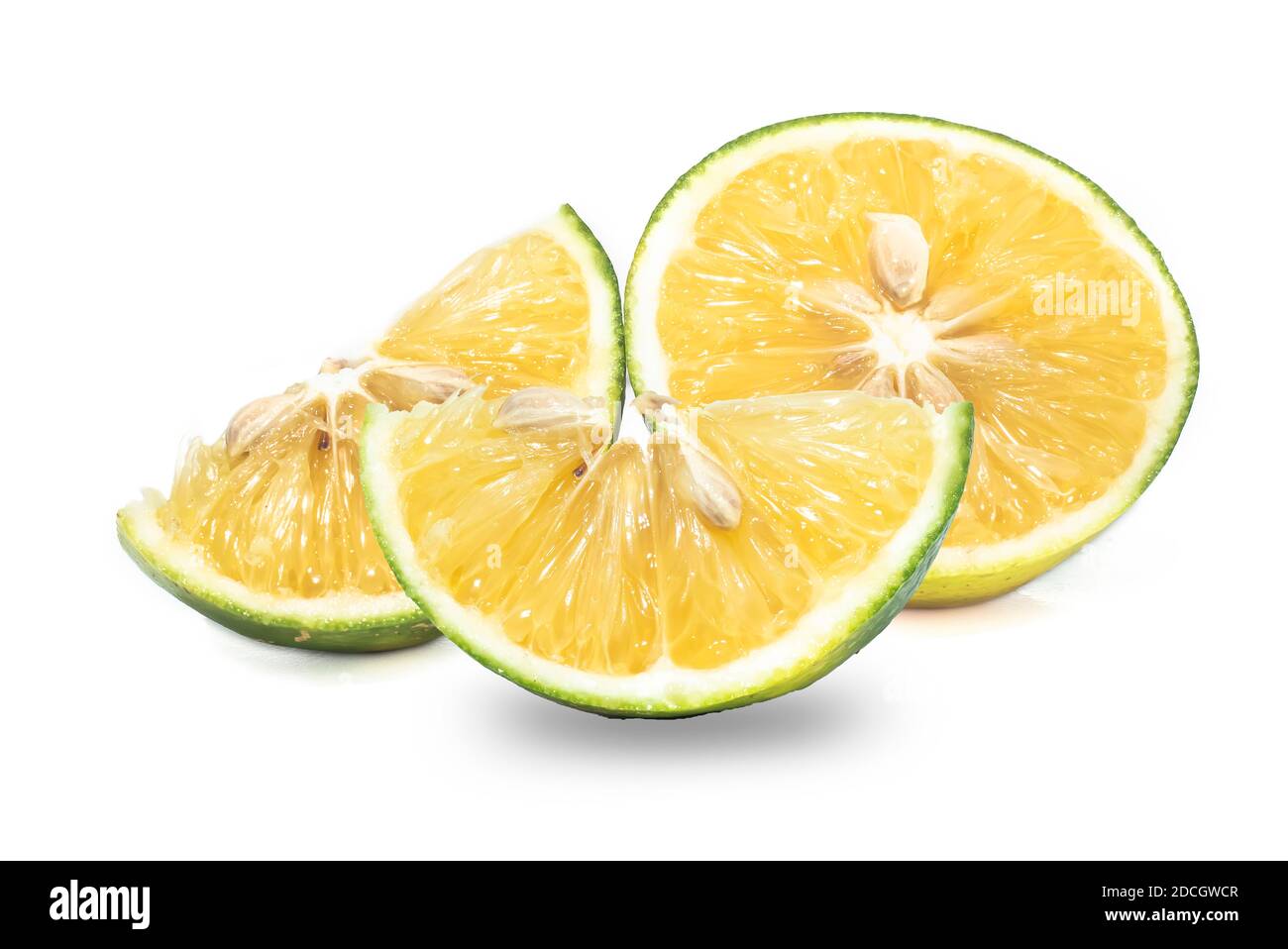 Mausambi hi-res stock photography and images - Alamy