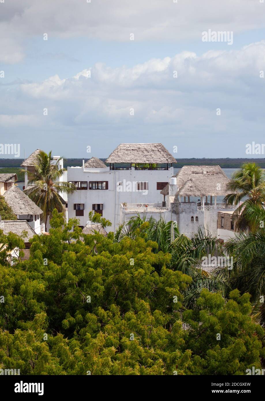 Stone townhouses and luxury mansions with thatched roofs, Lamu County ...