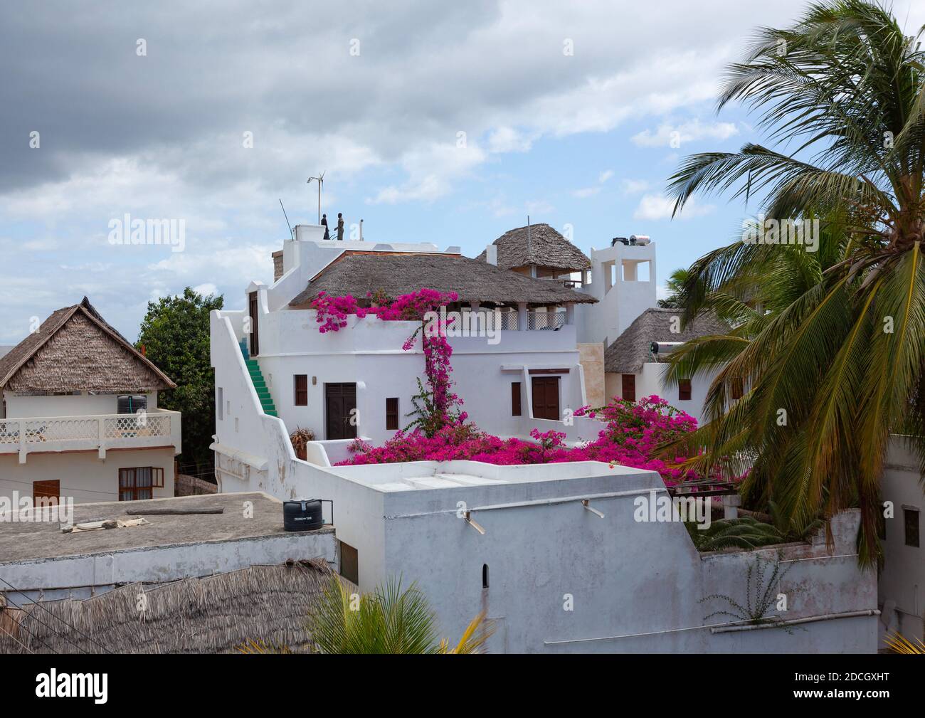 Stone townhouses and luxury mansions with thatched roofs, Lamu County ...