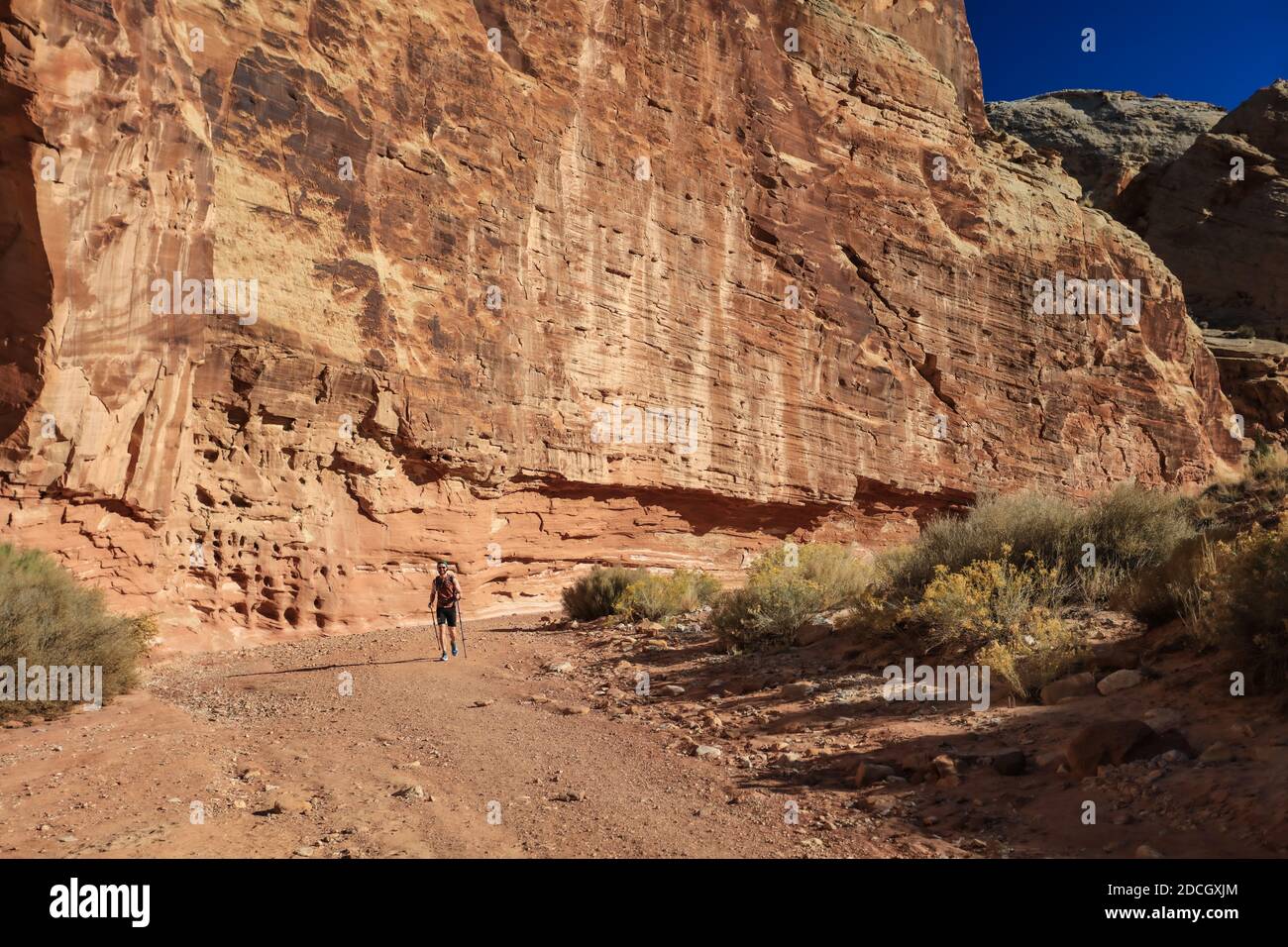 Capitol Reef National Park is centred over the 100 mile long ...