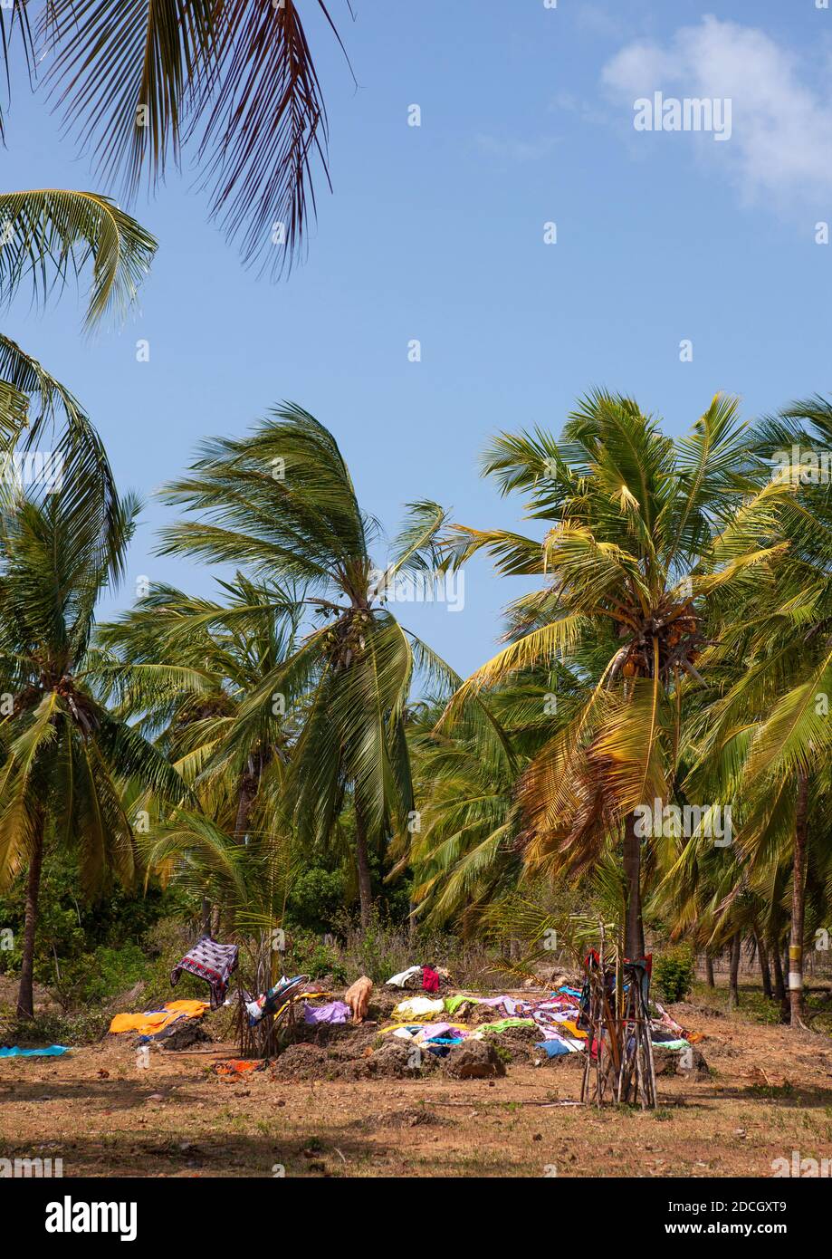 Clothes drying in the sun in a village, Lamu County, Siyu, Kenya Stock ...