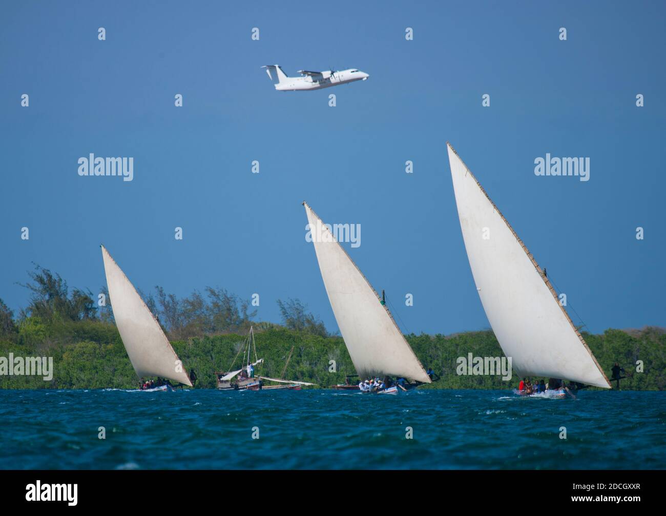 Dhow race during the Maulid festival, Lamu County, Lamu, Kenya Stock ...
