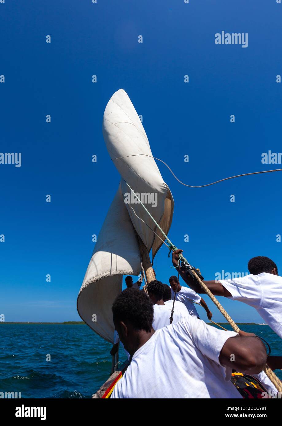 Dhow race during the Maulid festival, Lamu County, Lamu, Kenya Stock ...