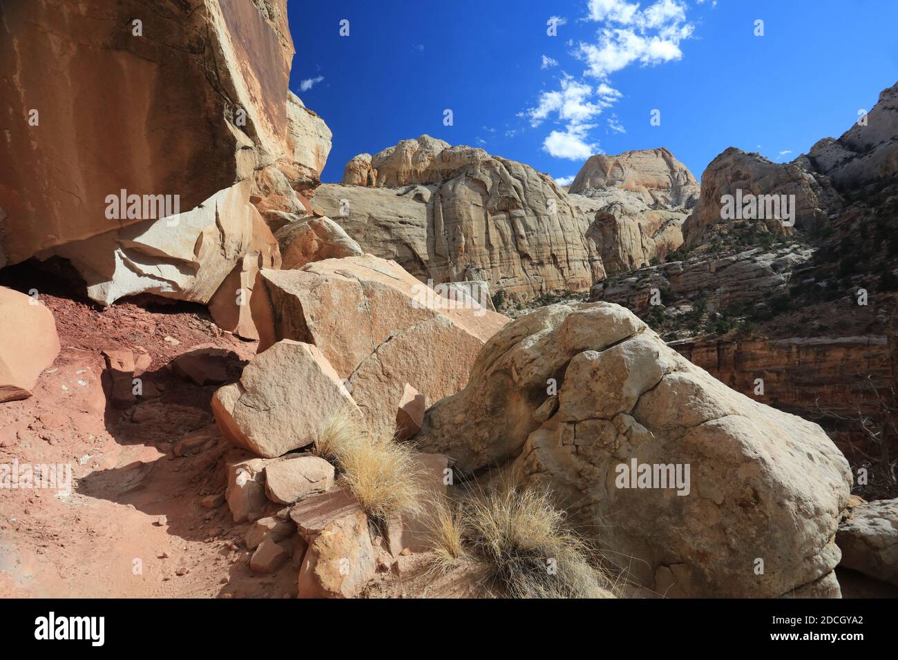 Capitol Reef National Park is centred over the 100 mile long ...