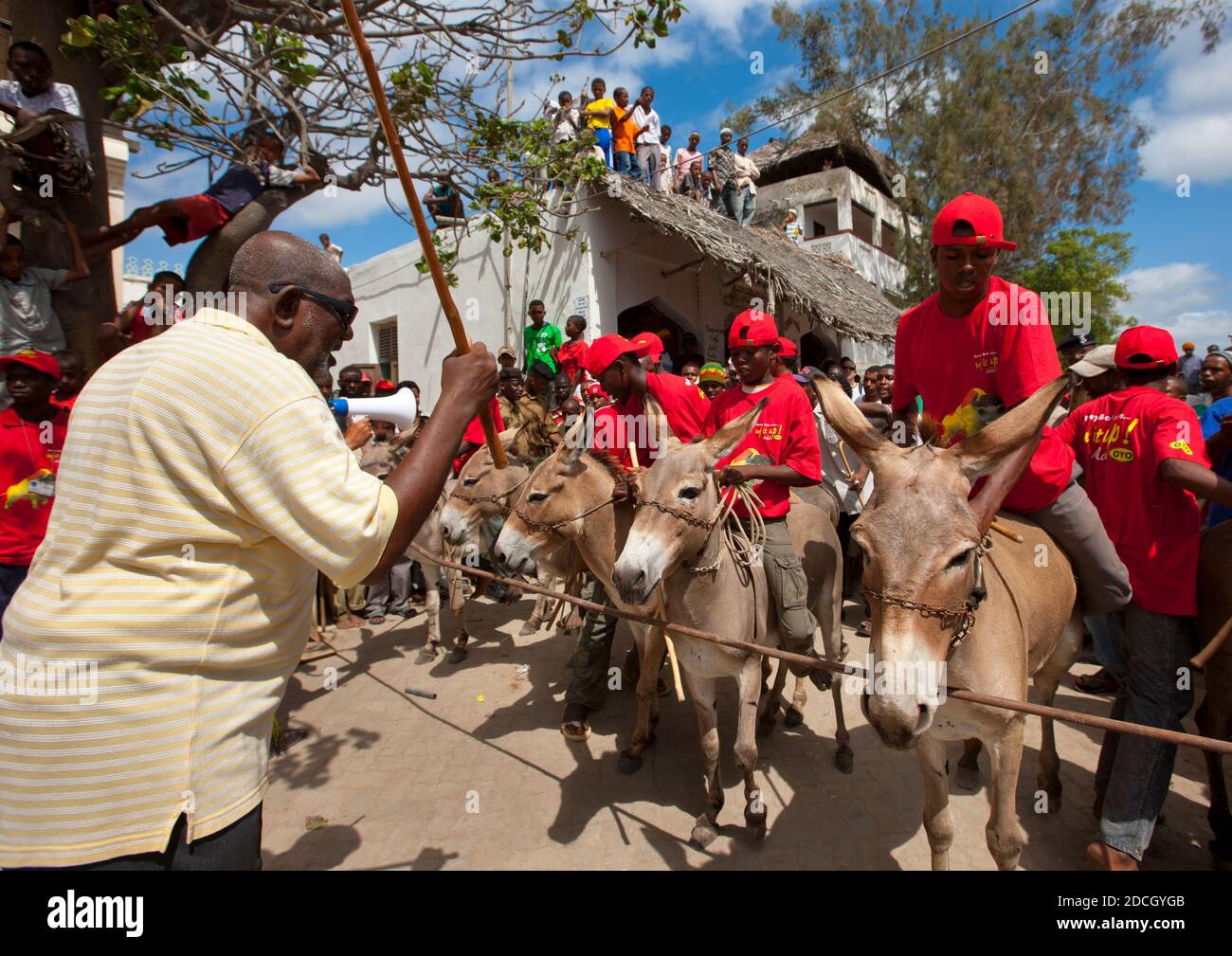 Donkey race during the Maulid festival, Lamu County, Lamu, Kenya Stock ...