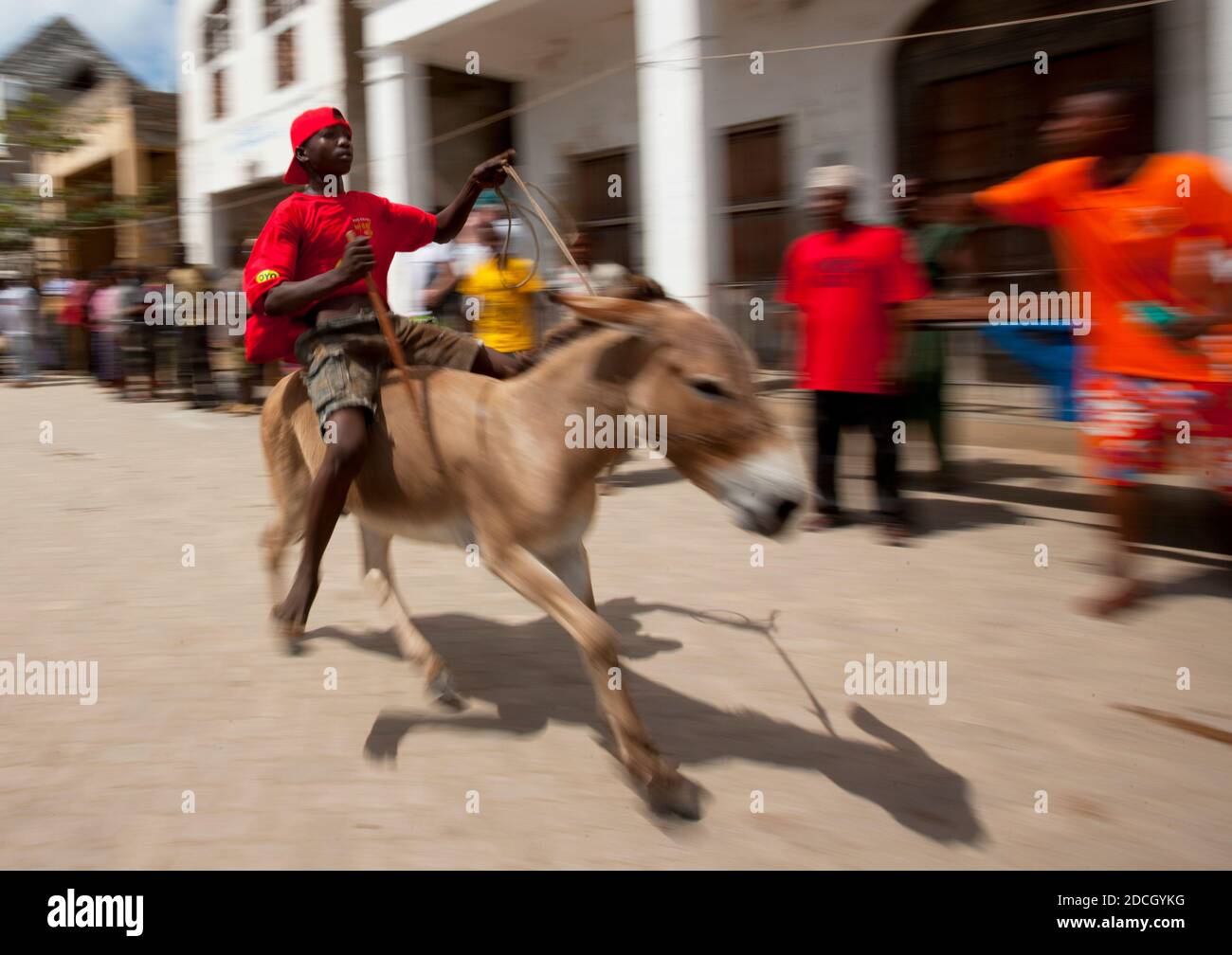 Donkey race hi-res stock photography and images - Alamy