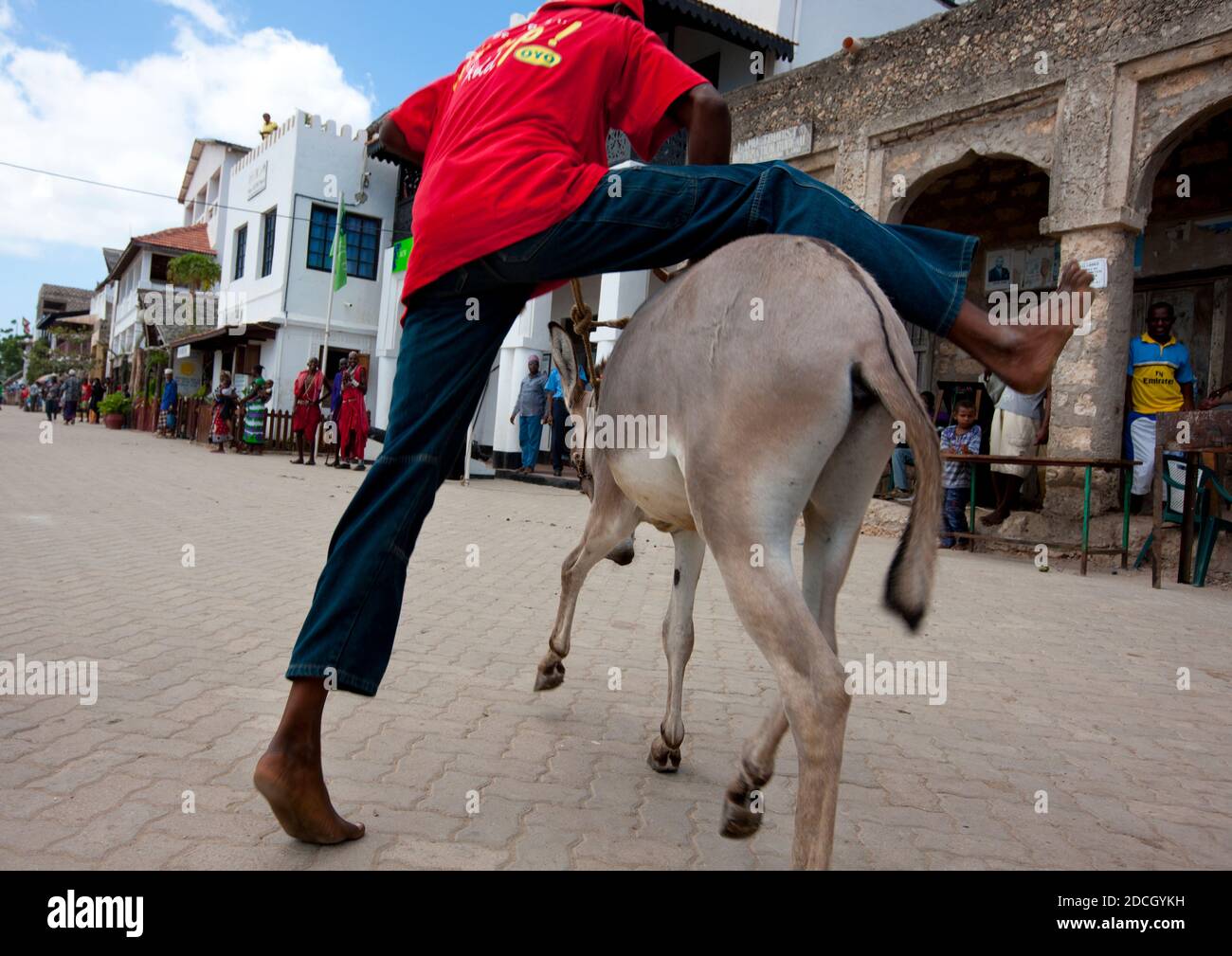Donkey race during the Maulid festival, Lamu County, Lamu, Kenya Stock ...
