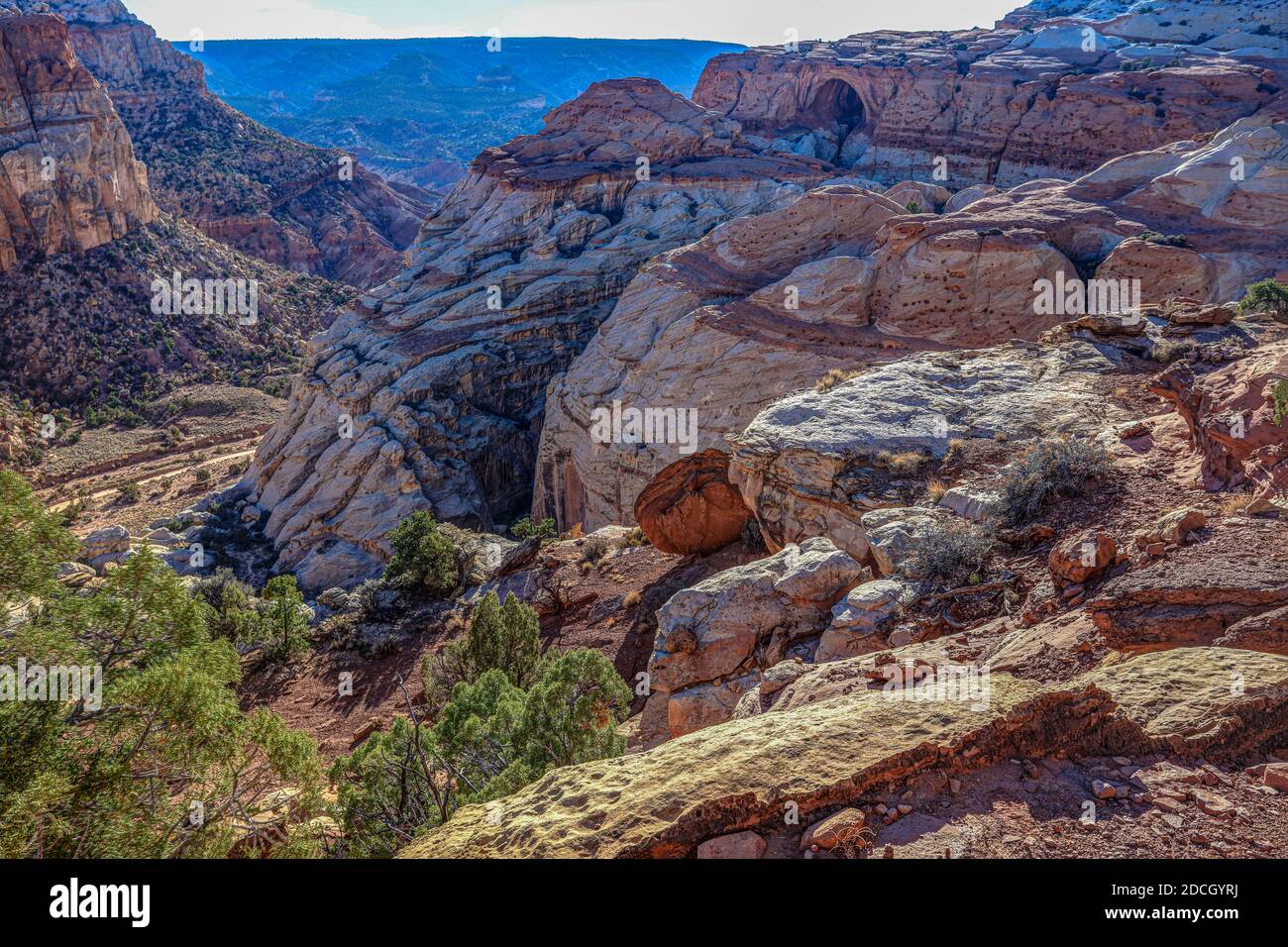 Capitol Reef National Park is centred over the 100 mile long ...