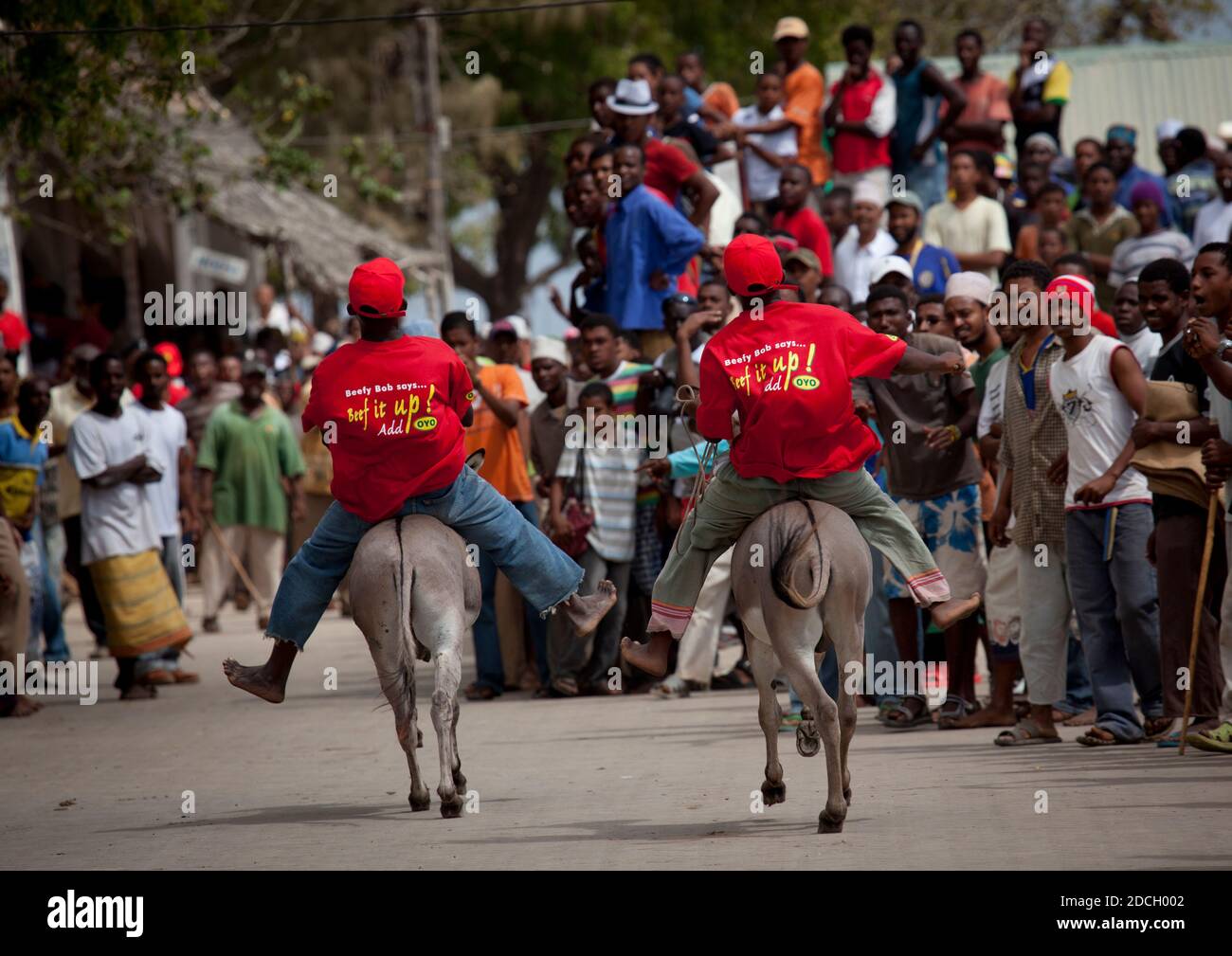 Kenya lamu cultural festival donkey hi-res stock photography and images ...