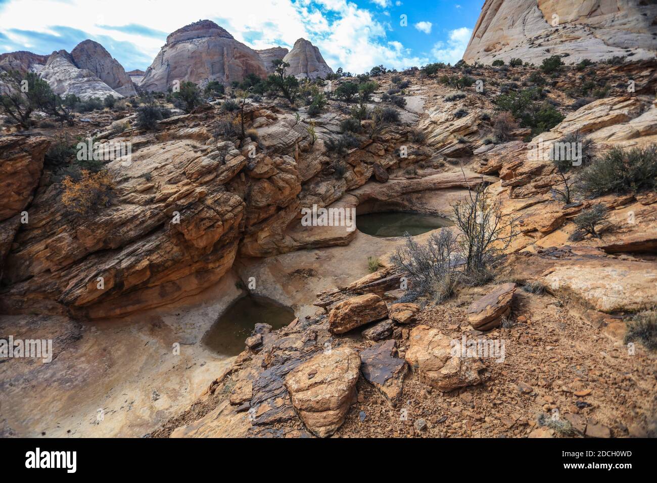 Capitol Reef National Park is centred over the 100 mile long ...