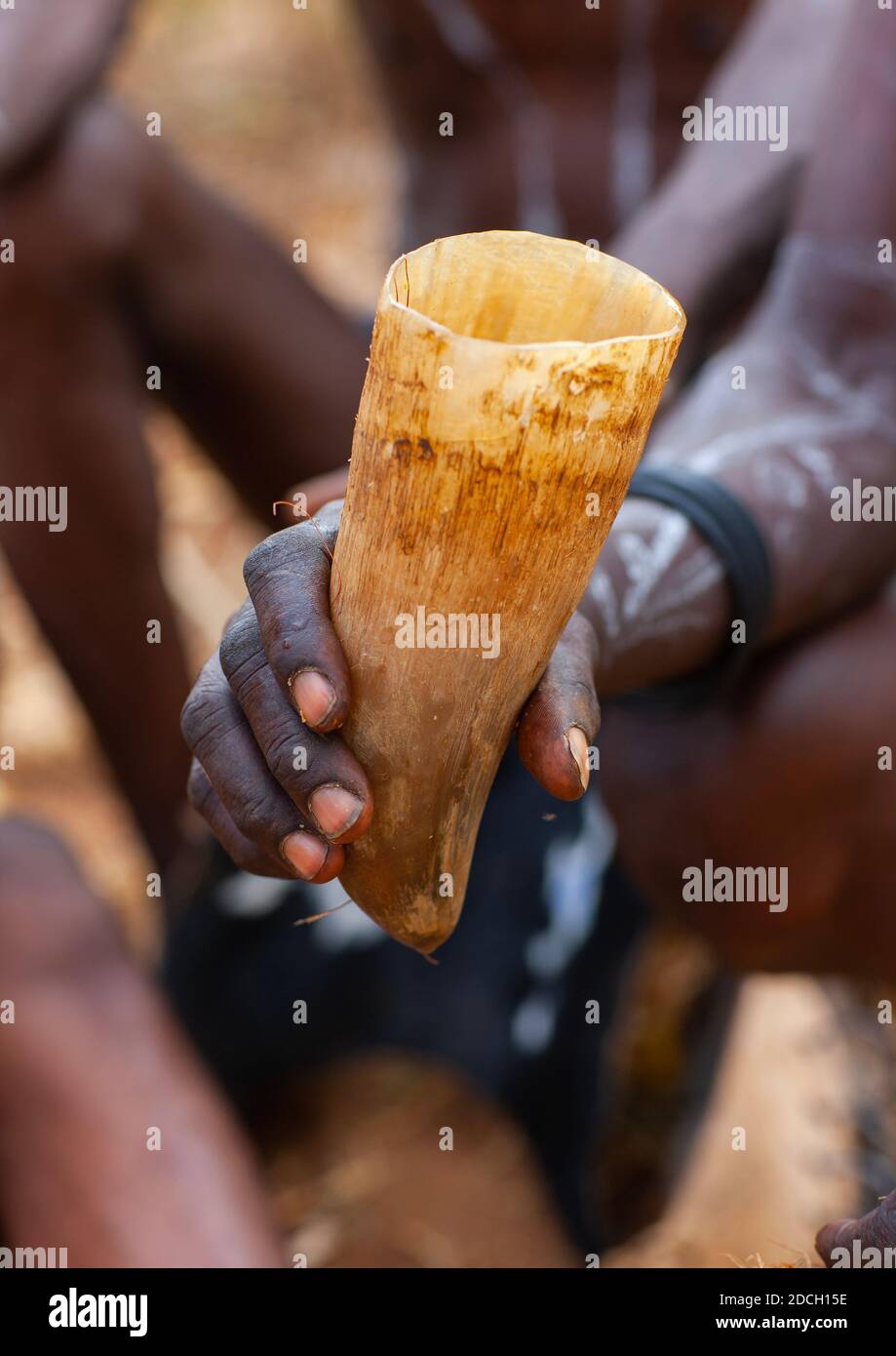 Tharaka tribe man drinking alcohol in a cow horn, Laikipia County ...