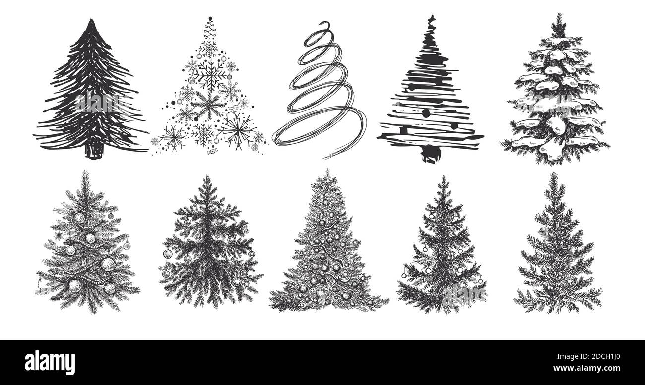 Christmas tree hand drawn illustration Stock Photo - Alamy