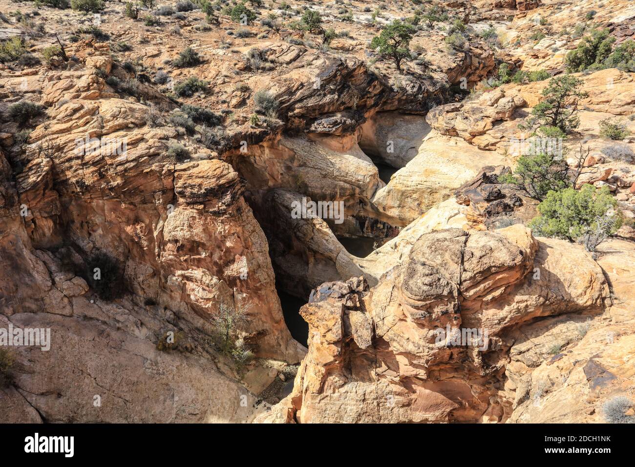 Capitol Reef National Park is centred over the 100 mile long ...