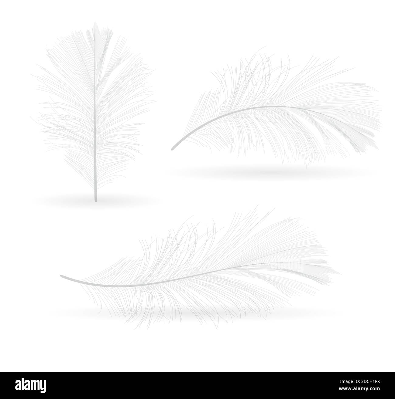 Bird Feather Hand Drawn Illustration Stock Photo - Alamy