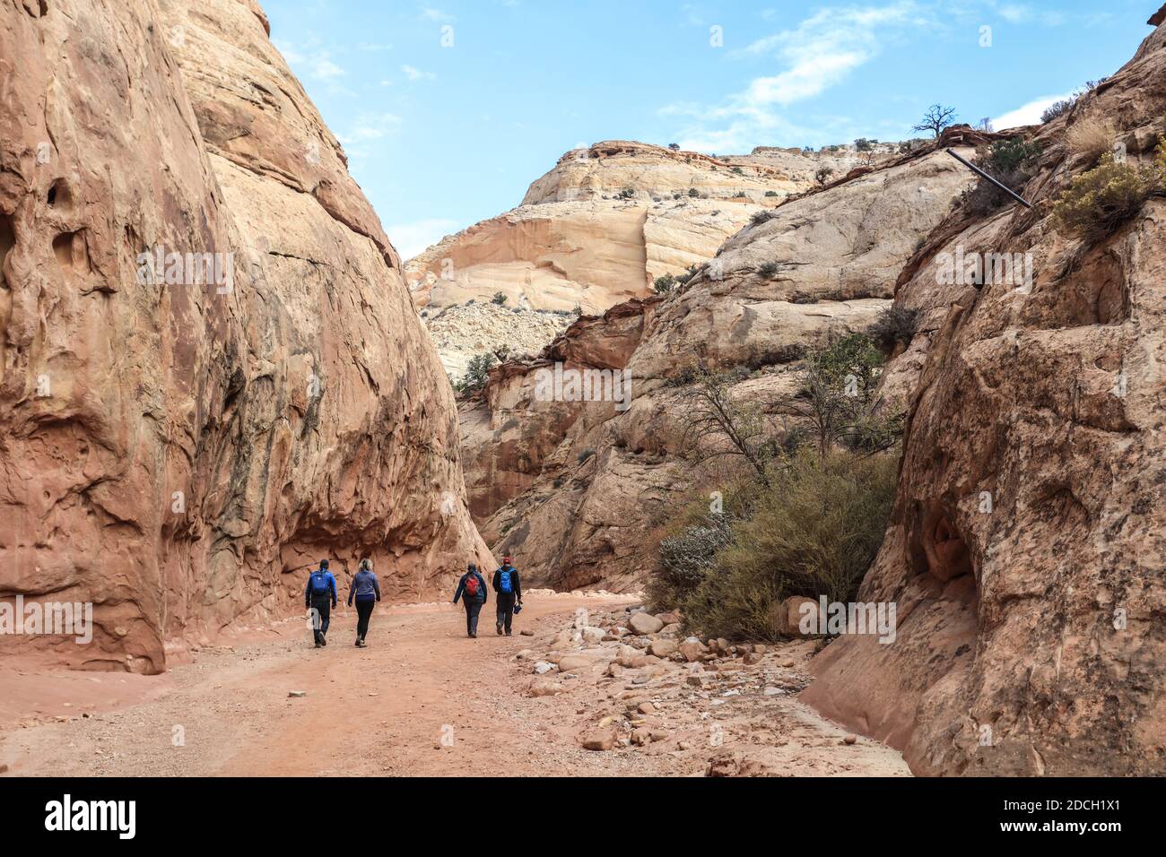 Capitol Reef National Park is centred over the 100 mile long ...